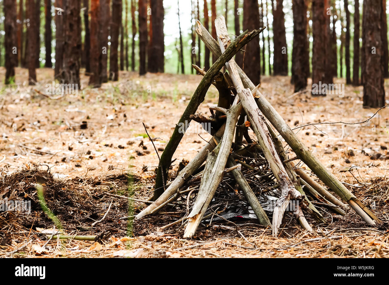 Make the fire in nature. campfire preparation Stock Photo - Alamy