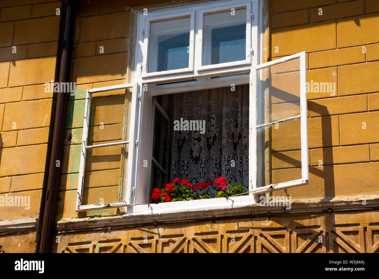 A classic open window with some red flowers in the bright light of the ...