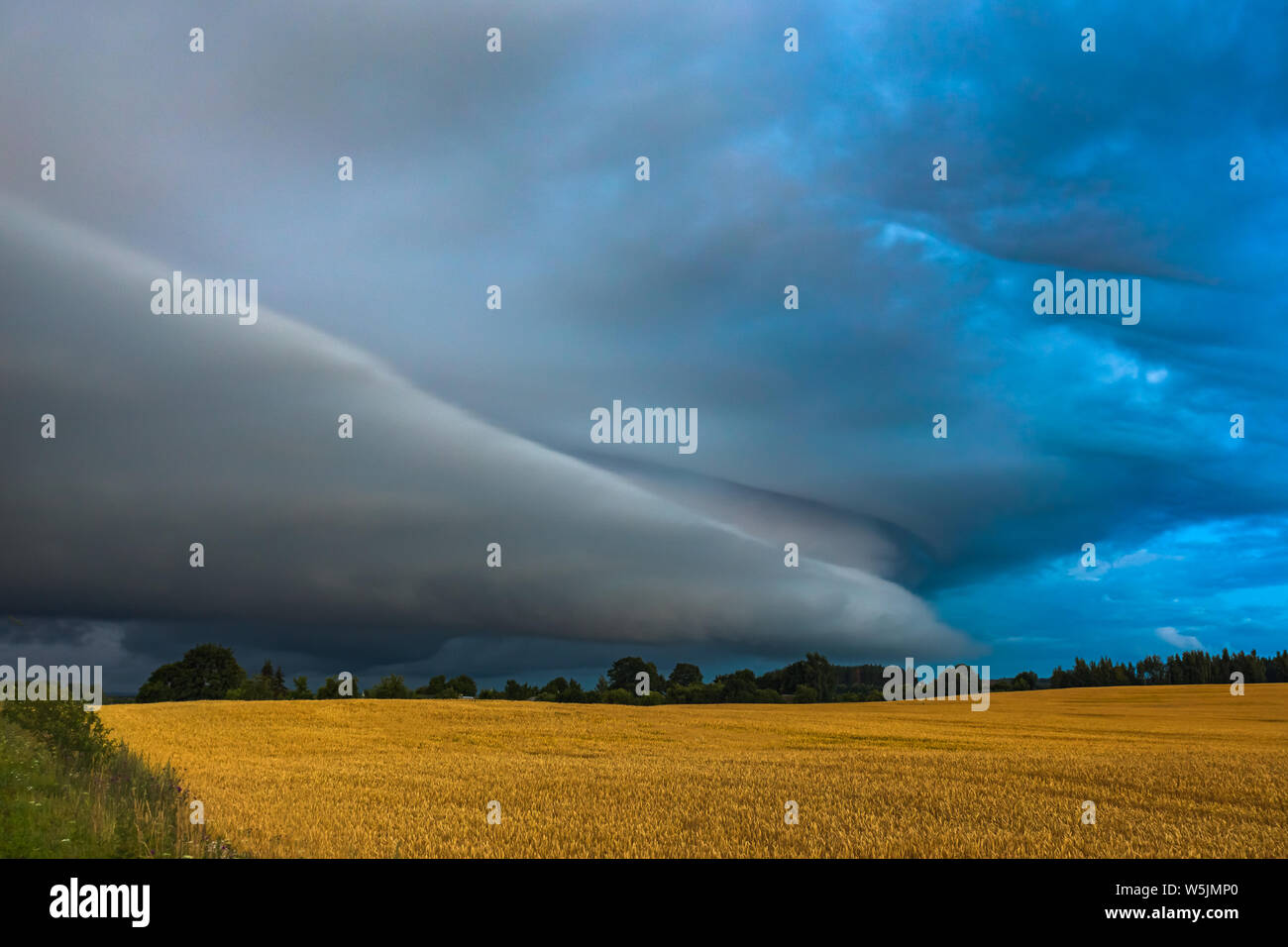 Storm clouds with shelf cloud and intense rain Stock Photo - Alamy