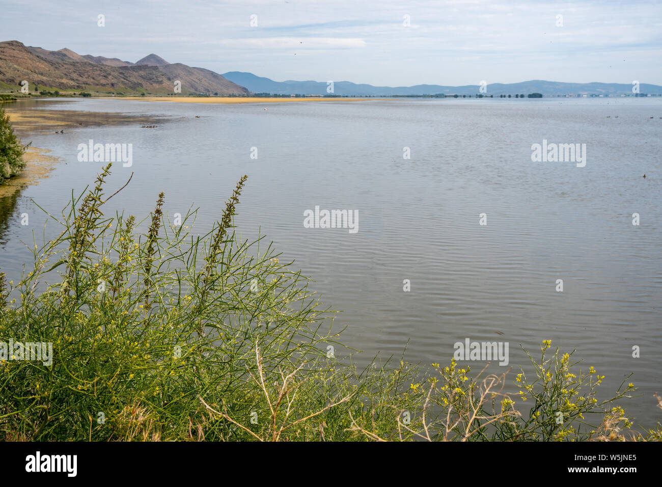 Tule lake hi-res stock photography and images - Alamy