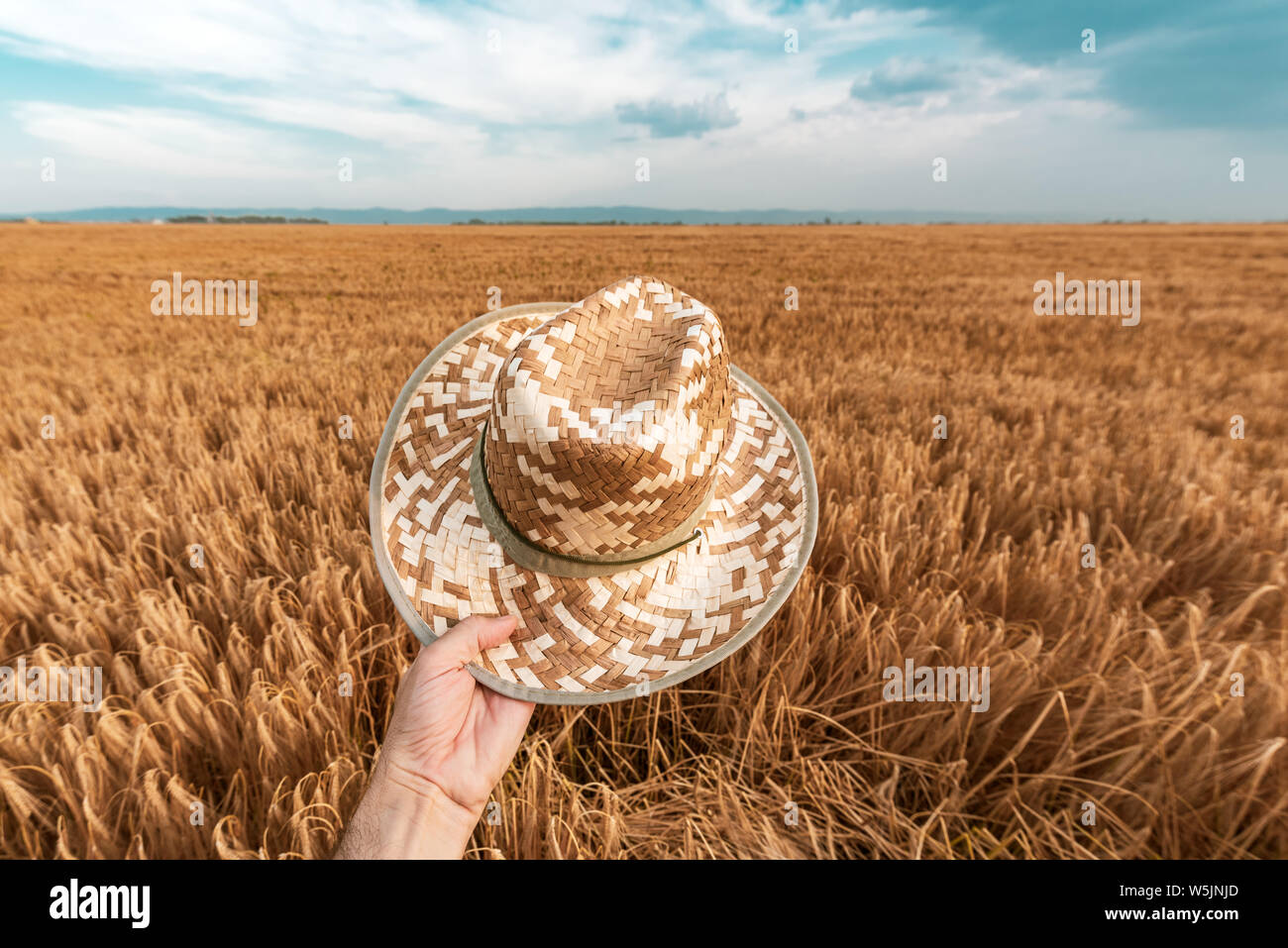 Cheerful satisfied farmer holding straw hat outdoors in fields. Happy ...