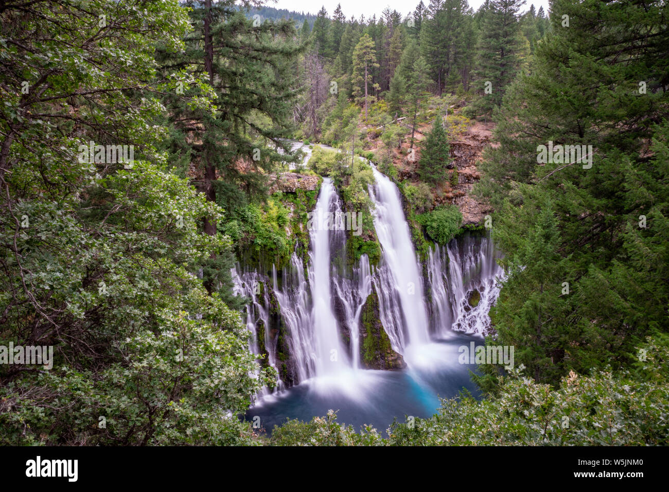 Burney falls forest waterfalls in hi-res stock photography and images ...