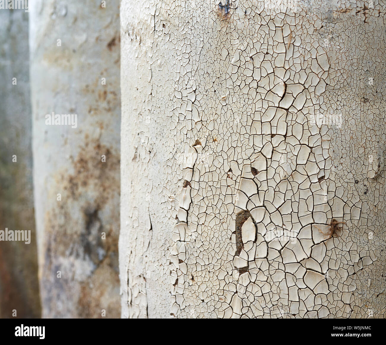 A close up view Daniel Johnston`s `Untitled`at the North Carolina ...