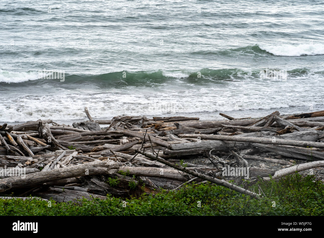 Driftwood piles on the shores of Ruby Beach in Olympic National Park in ...