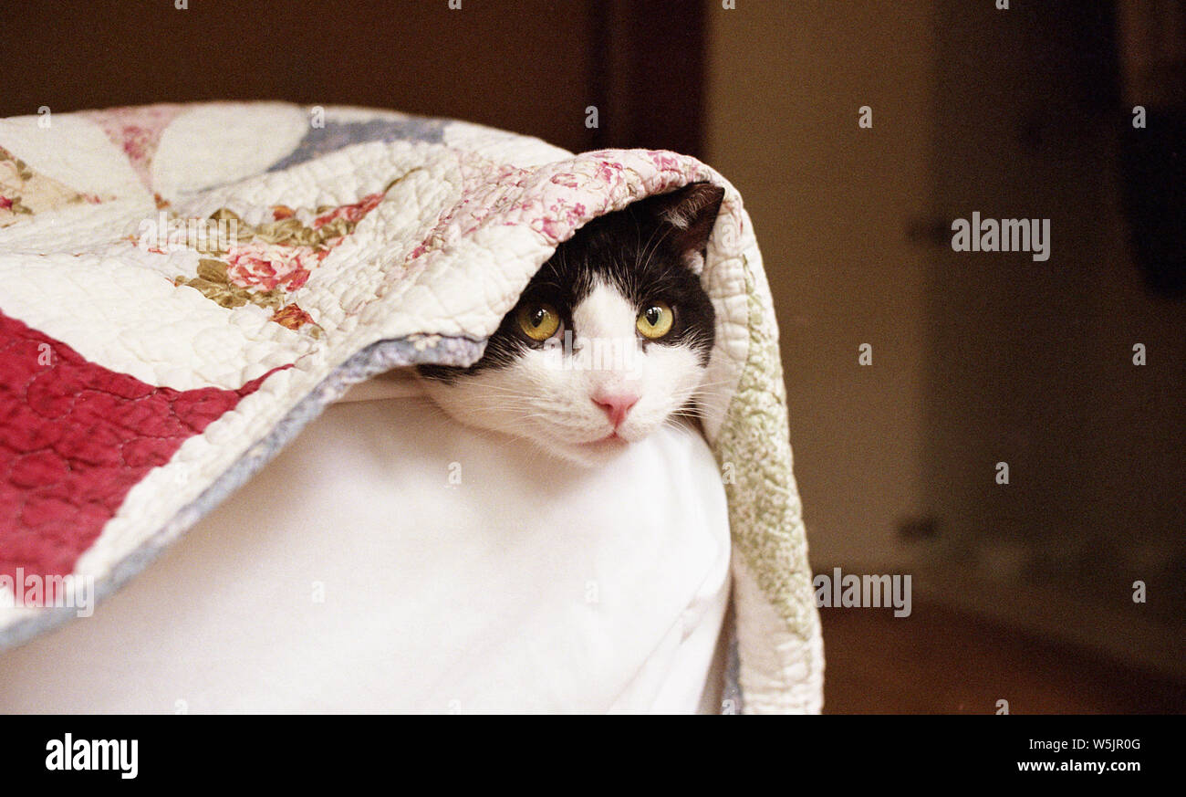 Nikkor o hi-res stock photography and images - Alamy