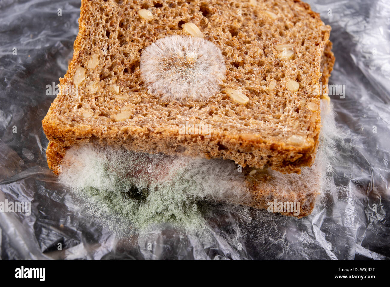 Moldy sandwich hi-res stock photography and images - Alamy