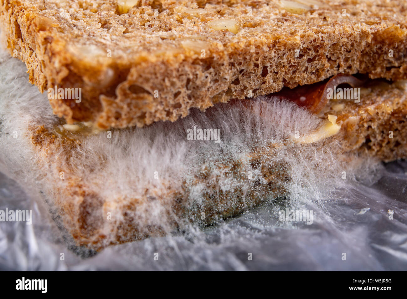Moldy sandwich hi-res stock photography and images - Alamy