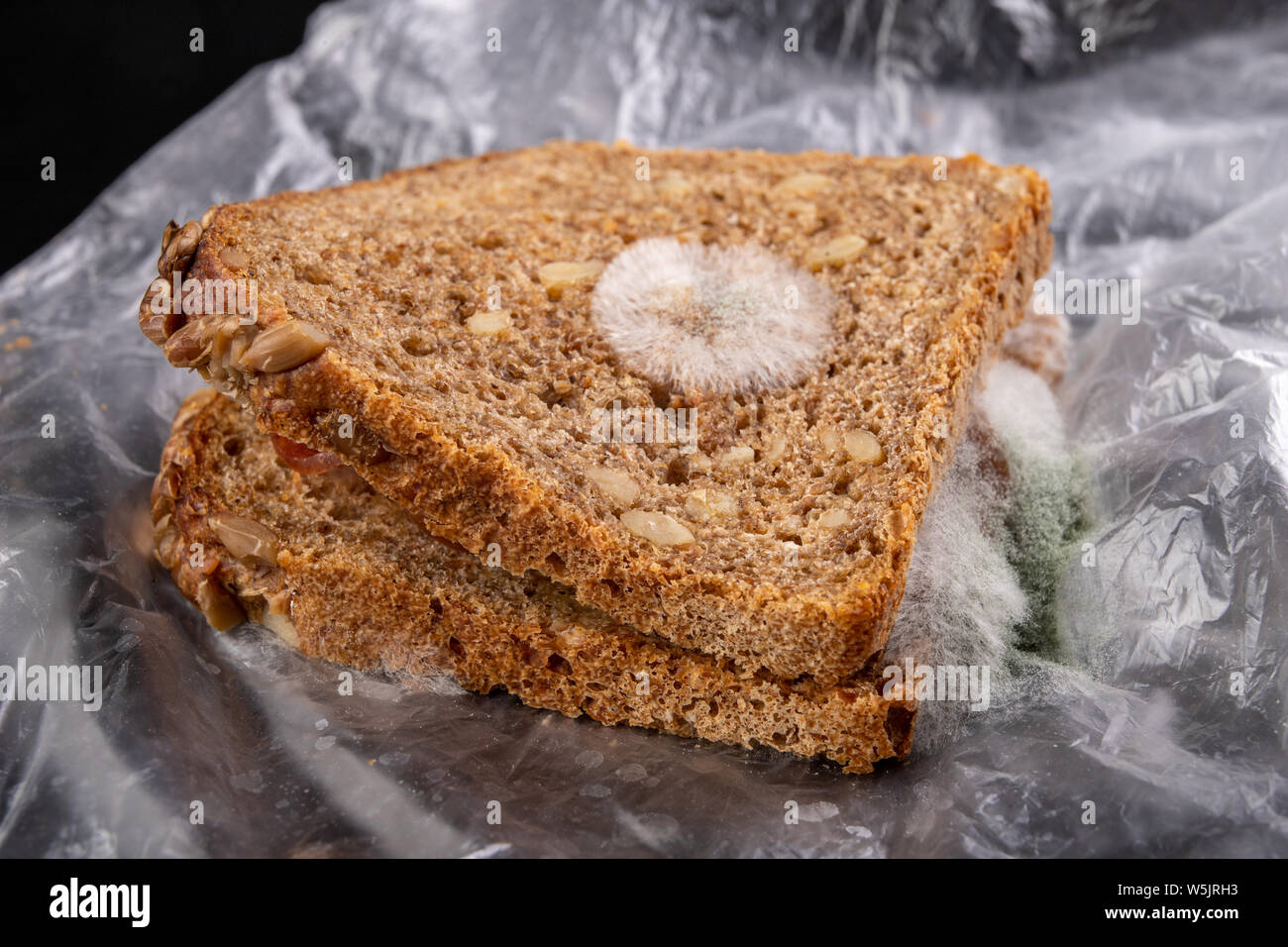 Mold Bread In A Bag