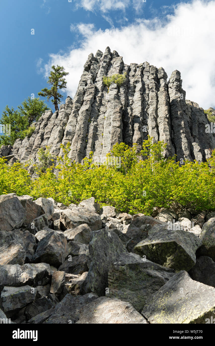 Columnar jointing in andesite lava flow, western Cascades, Oregon, USA ...
