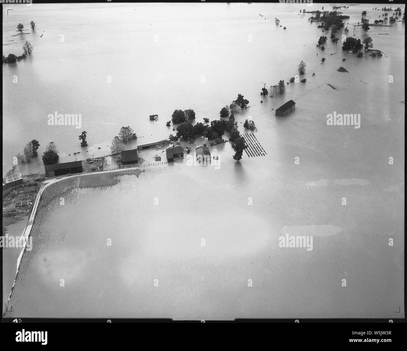 Very few trees Black and White Stock Photos & Images - Alamy