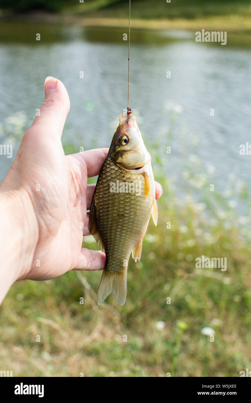 Little fish on a hook hi-res stock photography and images - Alamy