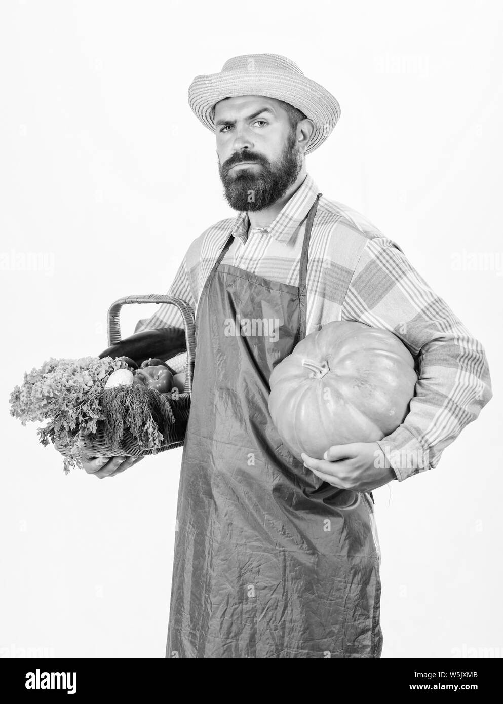 Local farm. Farmer lifestyle professional occupation. Farming and ...