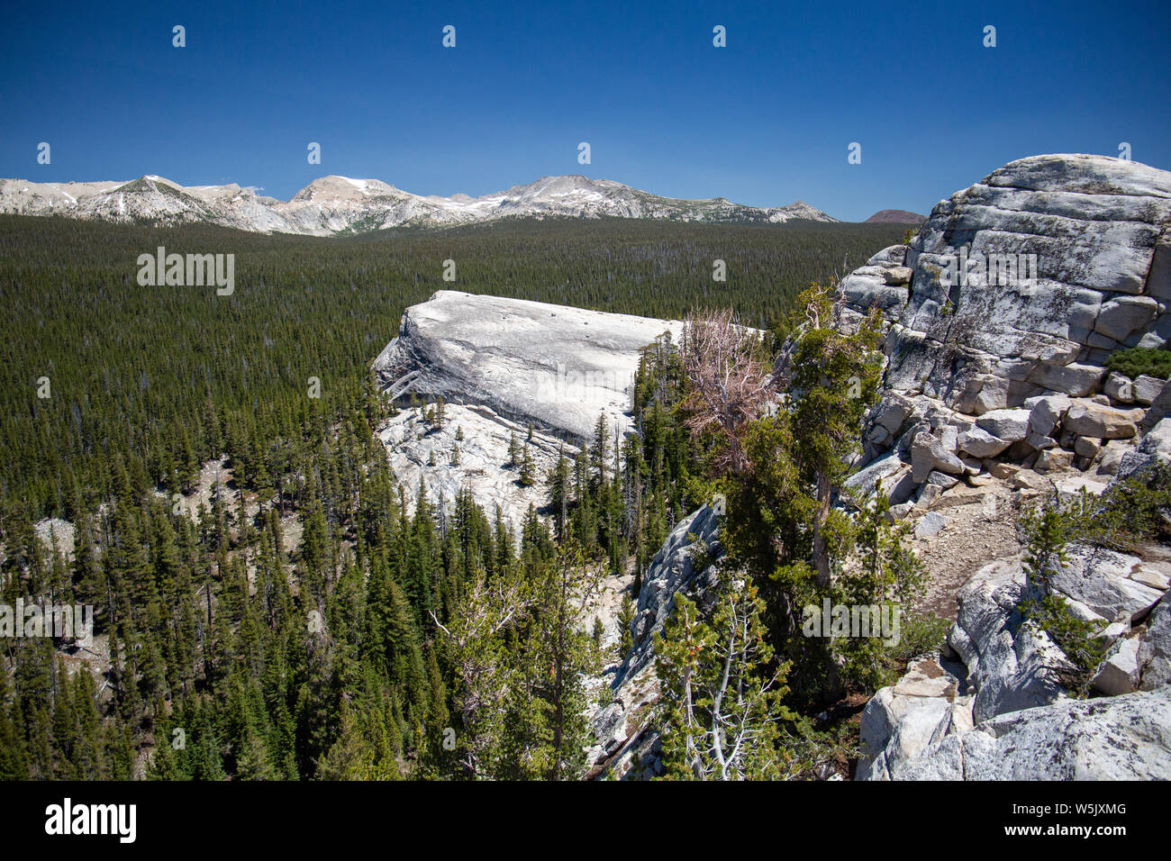 Lembert Dome in Yosemite Valley Stock Photo - Alamy