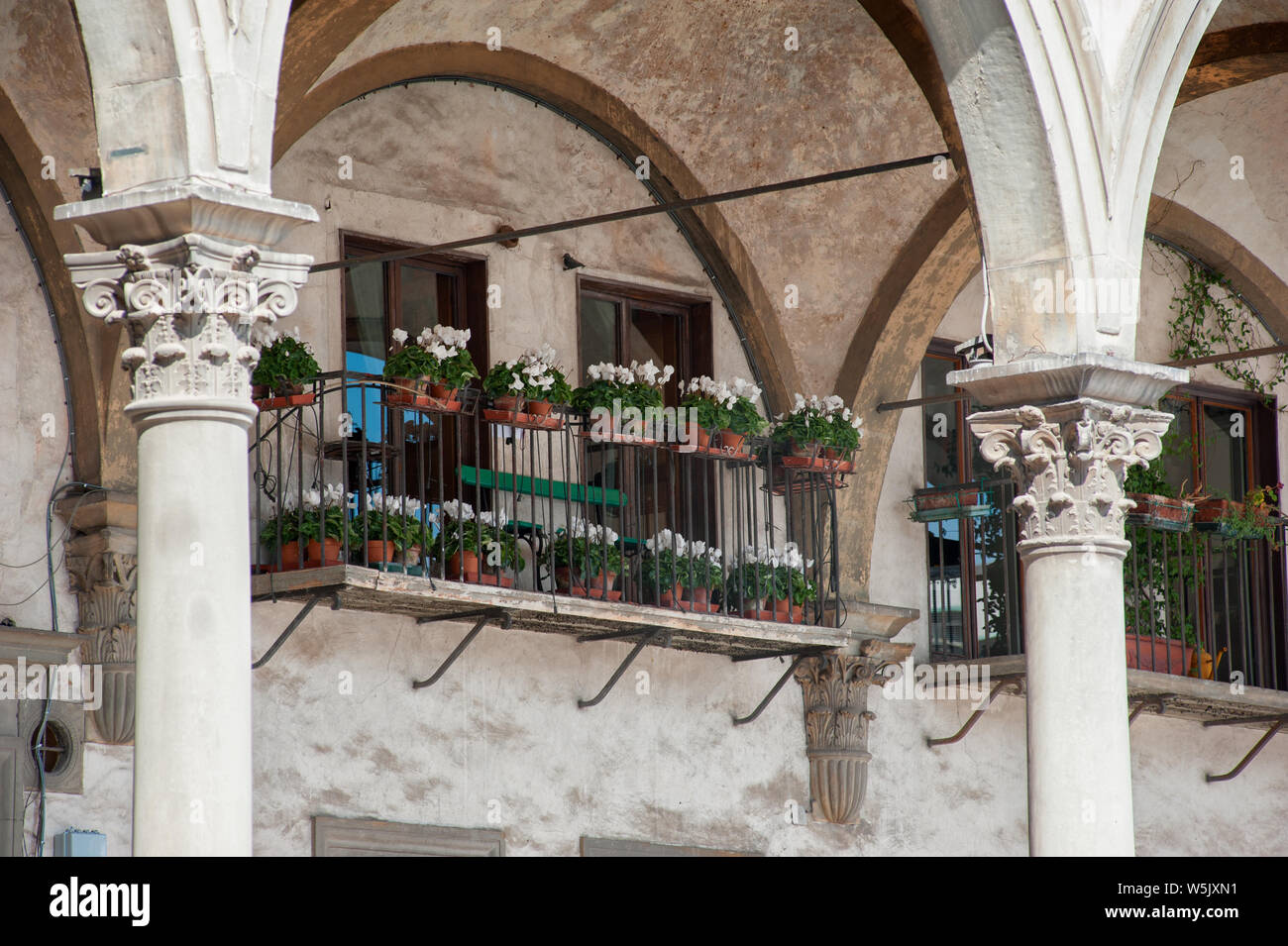 A balcony full of cyclamens under the Santissima Annunziata portico, in ...