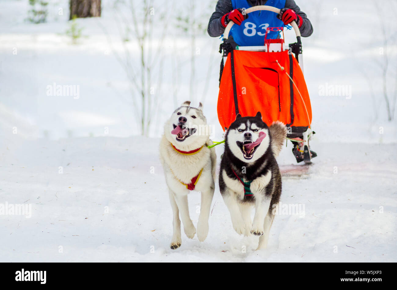 Buddy rush hi-res stock photography and images - Alamy