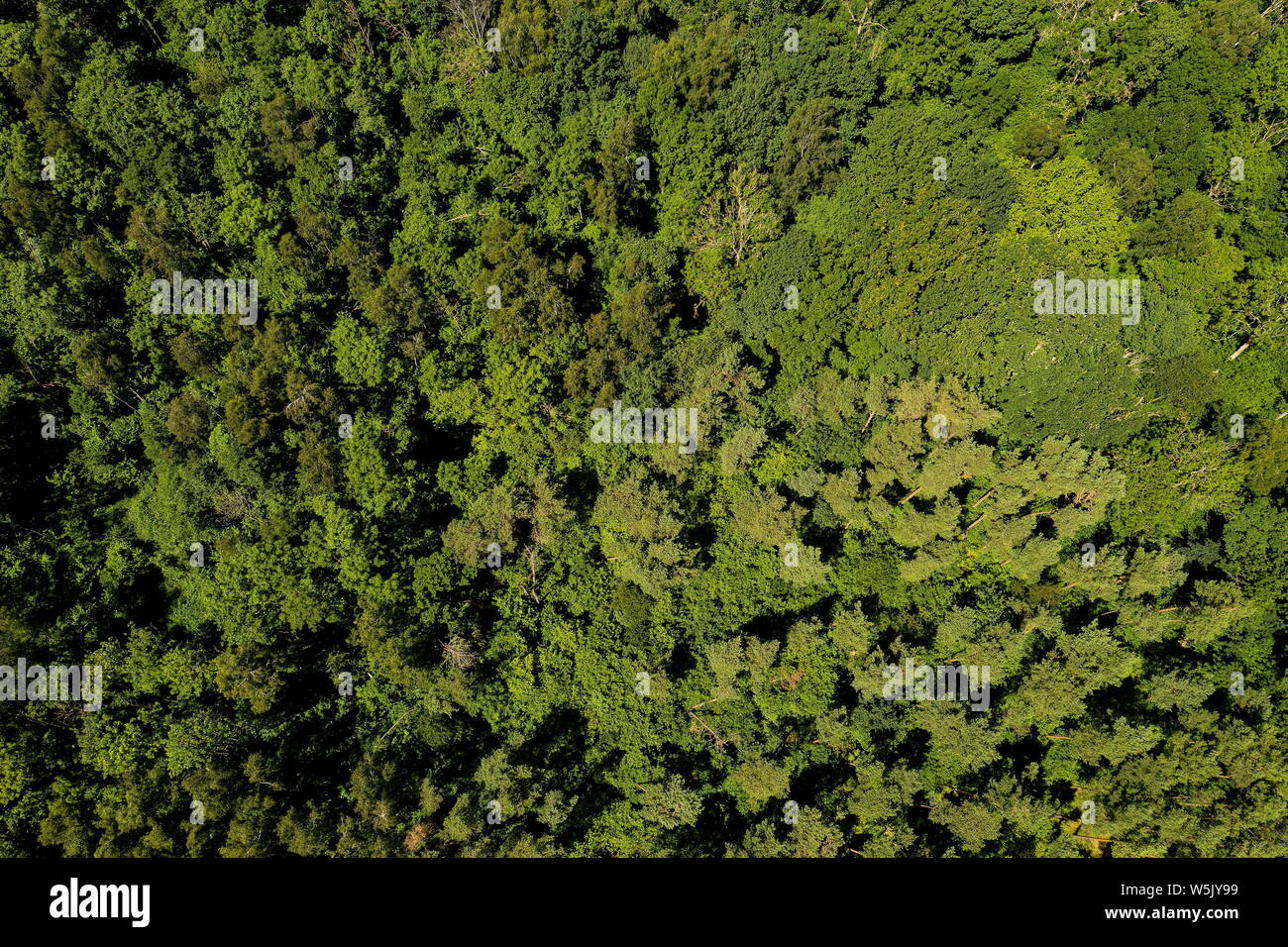 Aerial drone shot over deforestation hi-res stock photography and ...