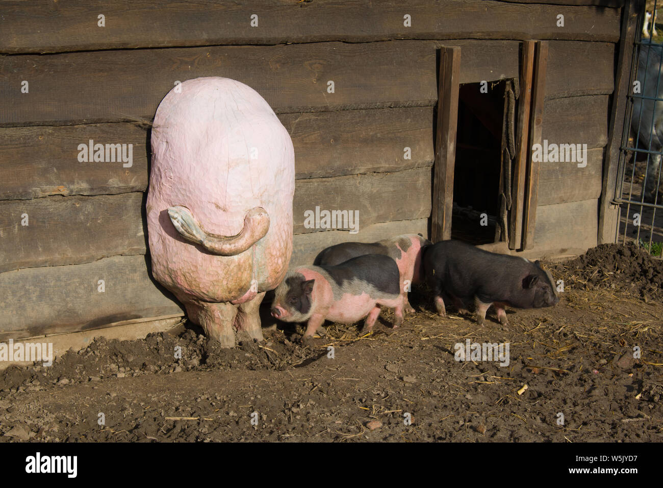Large farming family hi-res stock photography and images - Alamy