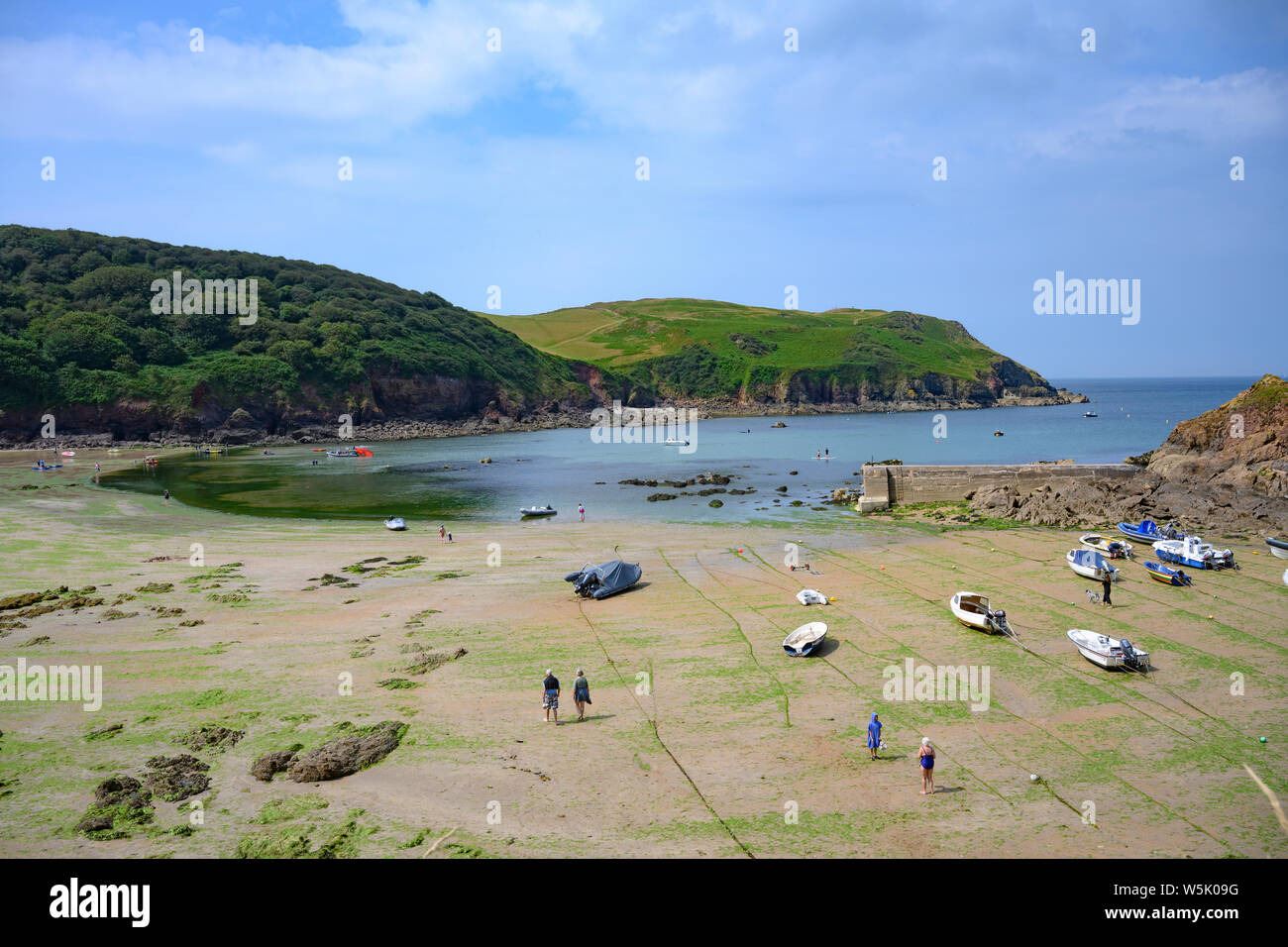 Beautiful devon beaches hi-res stock photography and images - Alamy