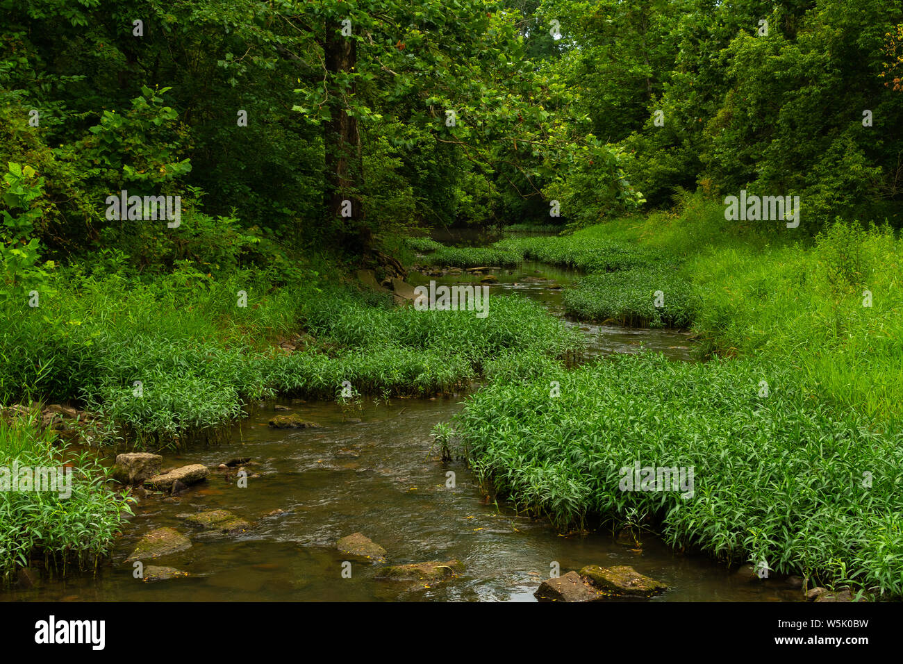 Small stream through the Midwest countryside. LaSalle County, Illinois ...
