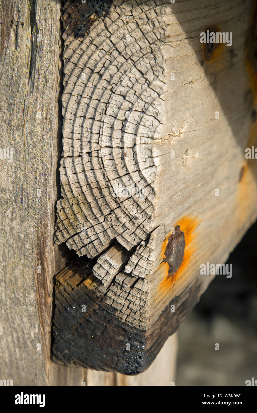 Weathered wooden sea defences at Southend On Sea Stock Photo - Alamy