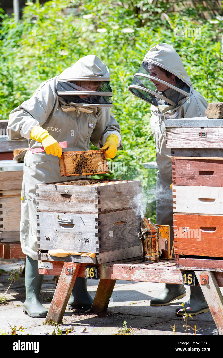 Beekeeping veil hi-res stock photography and images - Alamy