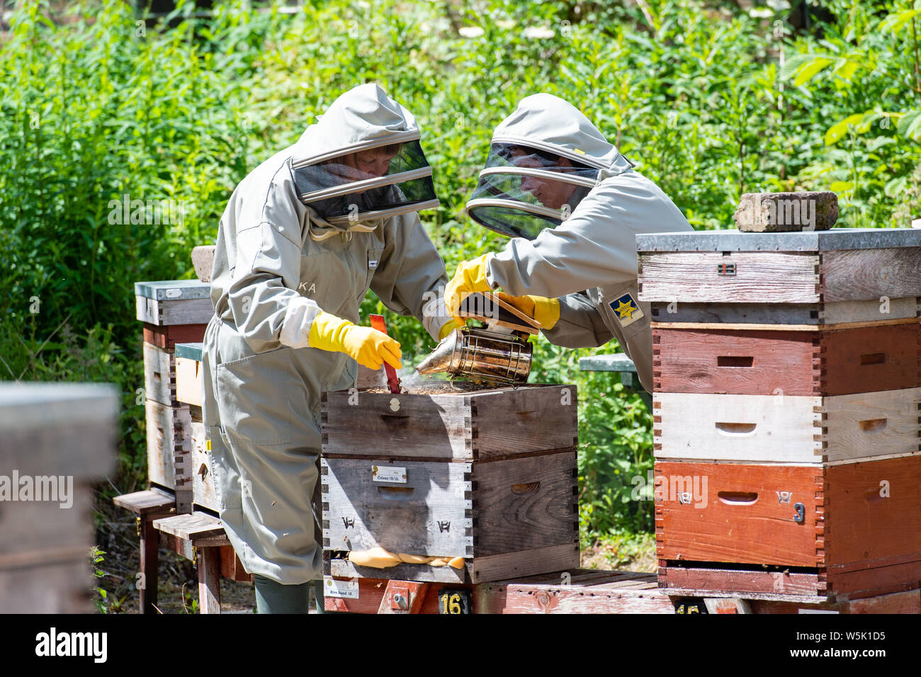 Cala Homes Midlothian Bursary, Newbattle Beekeepers Myriam Baete and ...