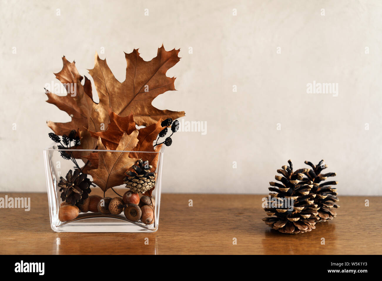 Still life with autumnal home decor of golden and brown dry leaves, cones and acorns in modern ...