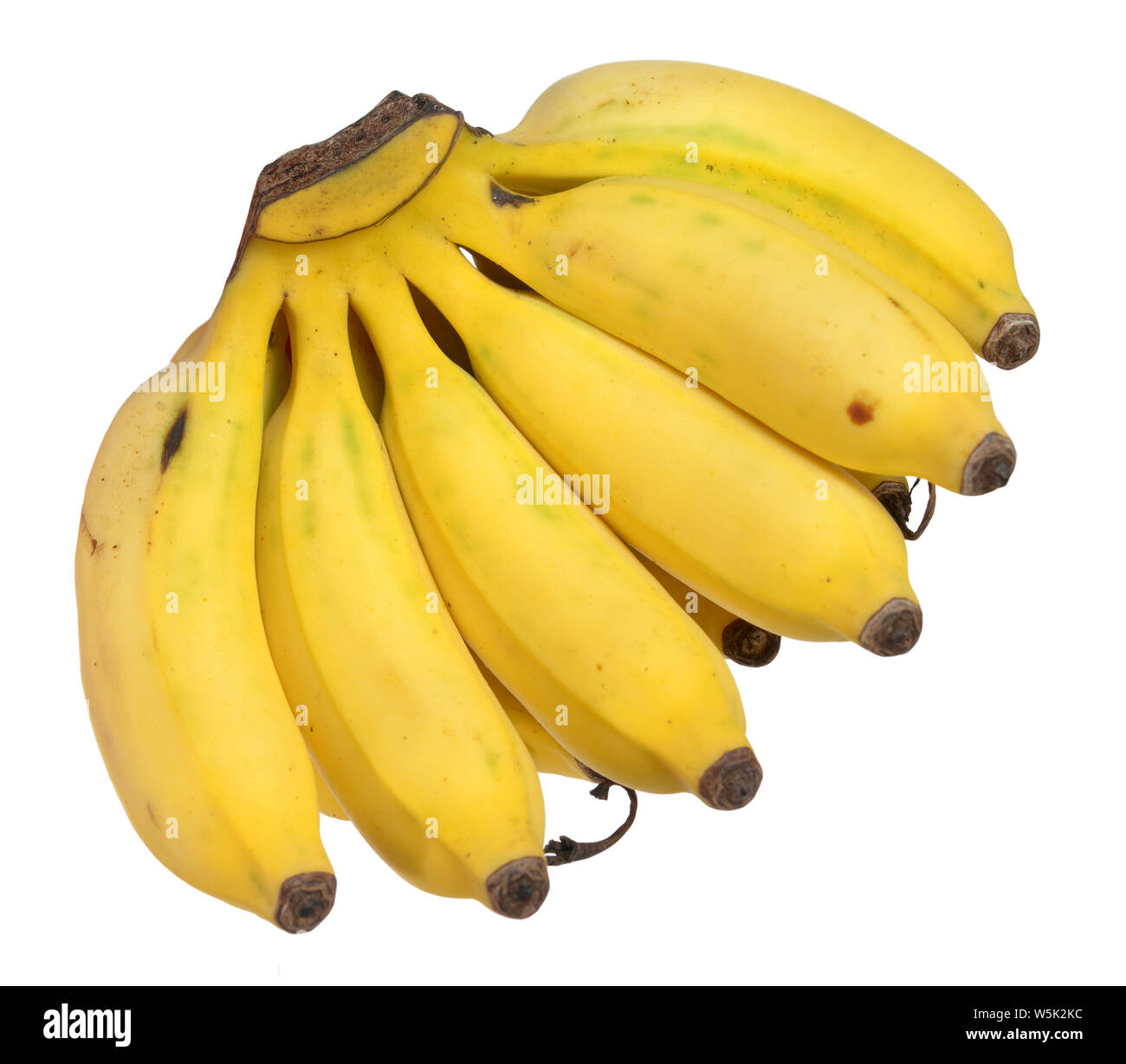baby banana bundle isolated on white background Stock Photo - Alamy