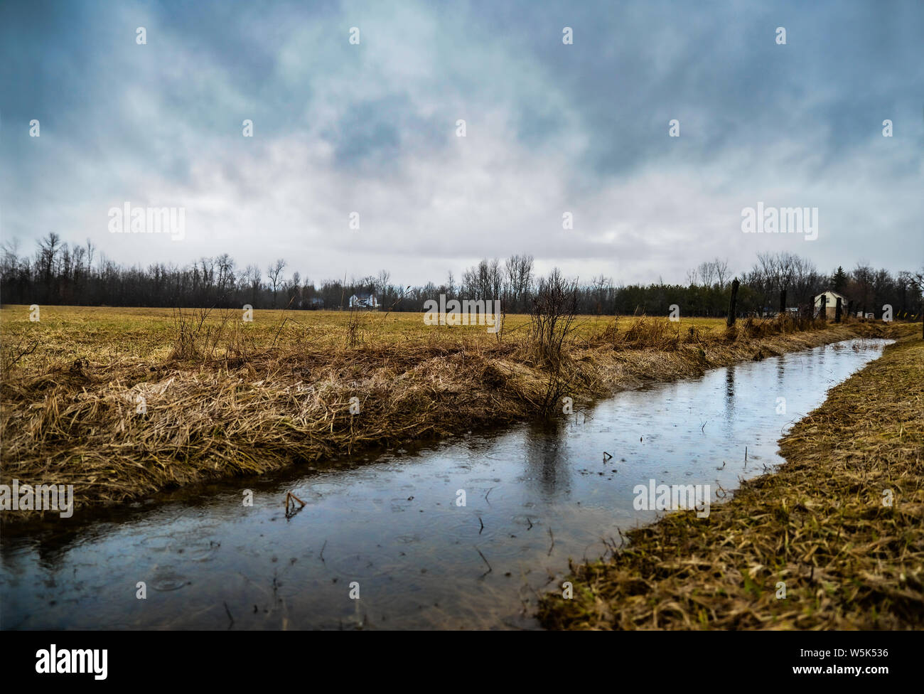 Rainy day in Ottawa Stock Photo - Alamy