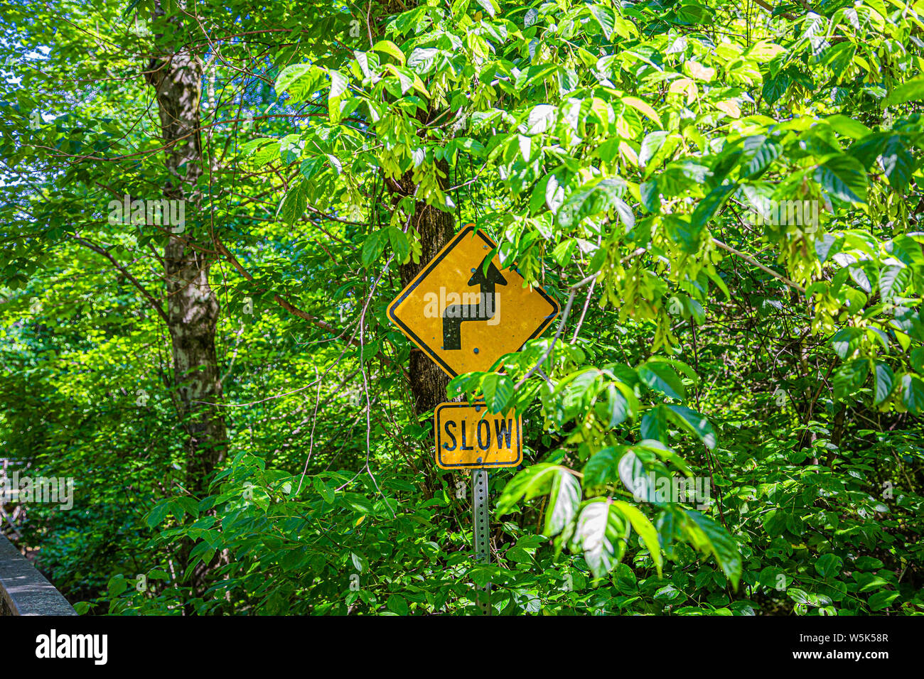 Slow curve sign on a fitness path in the park Stock Photo - Alamy