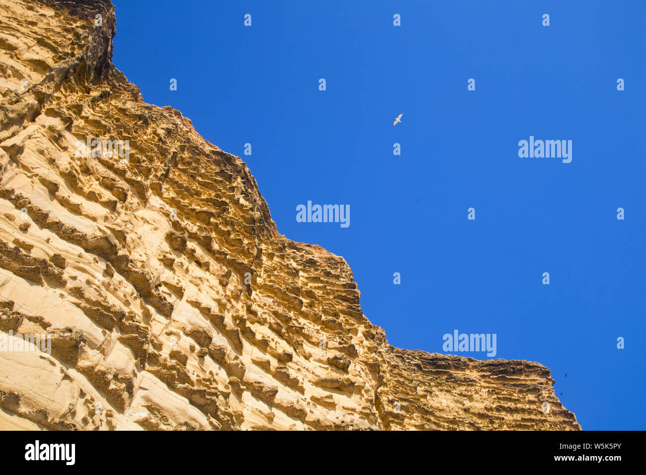 A Golden coloured cliff edge shares the frame with blue sky and a sea ...