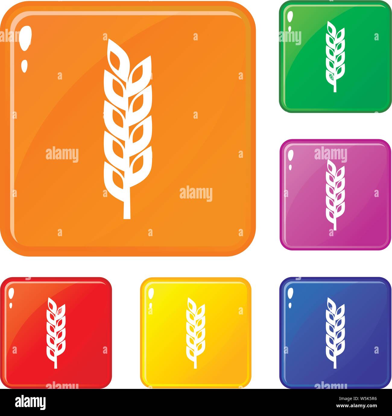 Grain spike icons set vector color Stock Vector Image & Art - Alamy