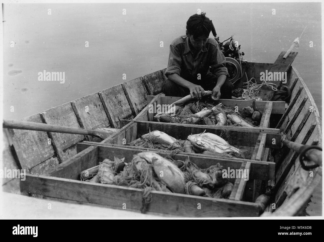 Boy in boat with large catch of fish Stock Photo - Alamy