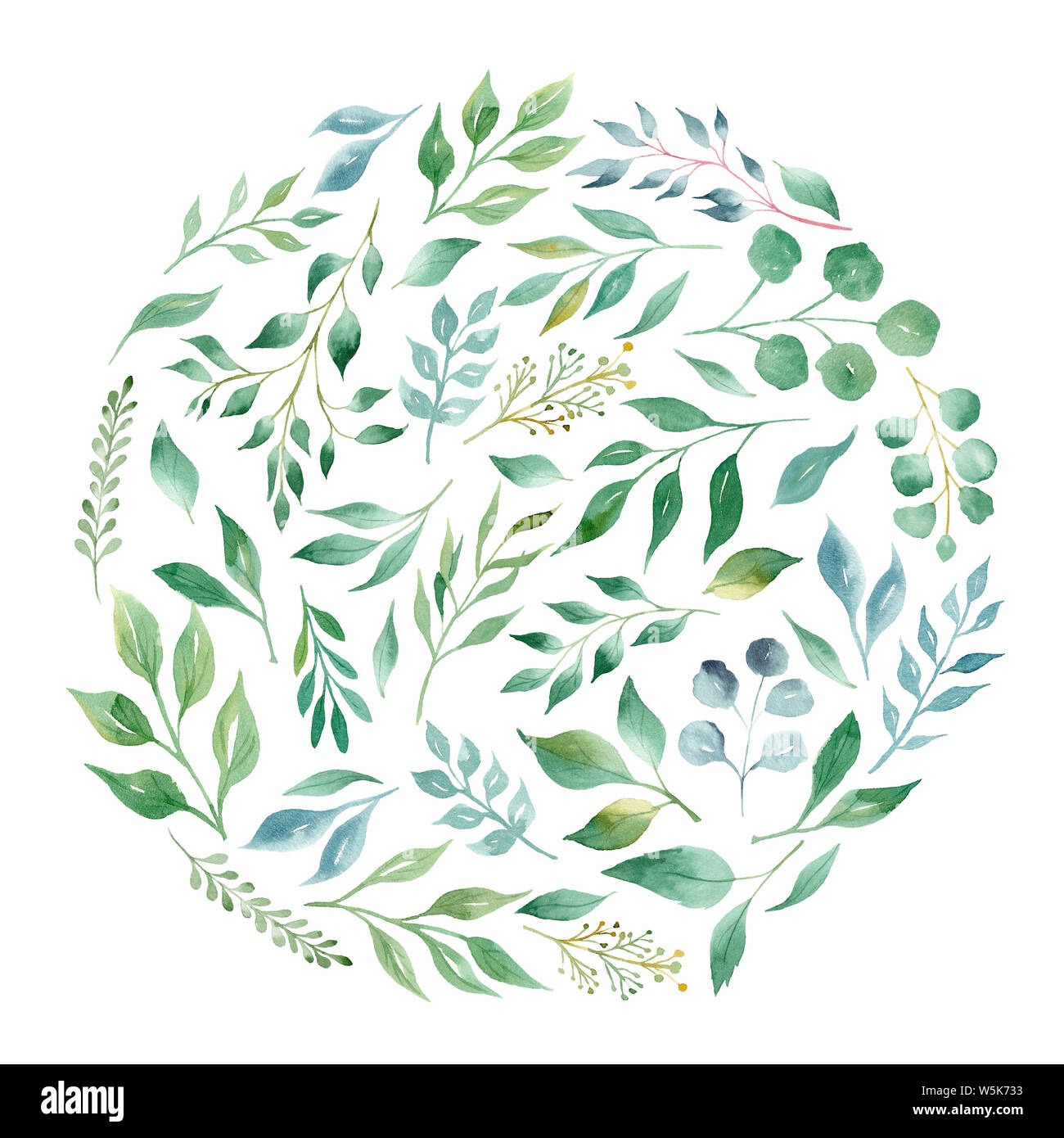 Circle shaped summer foliage, herbarium watercolor raster illustration ...