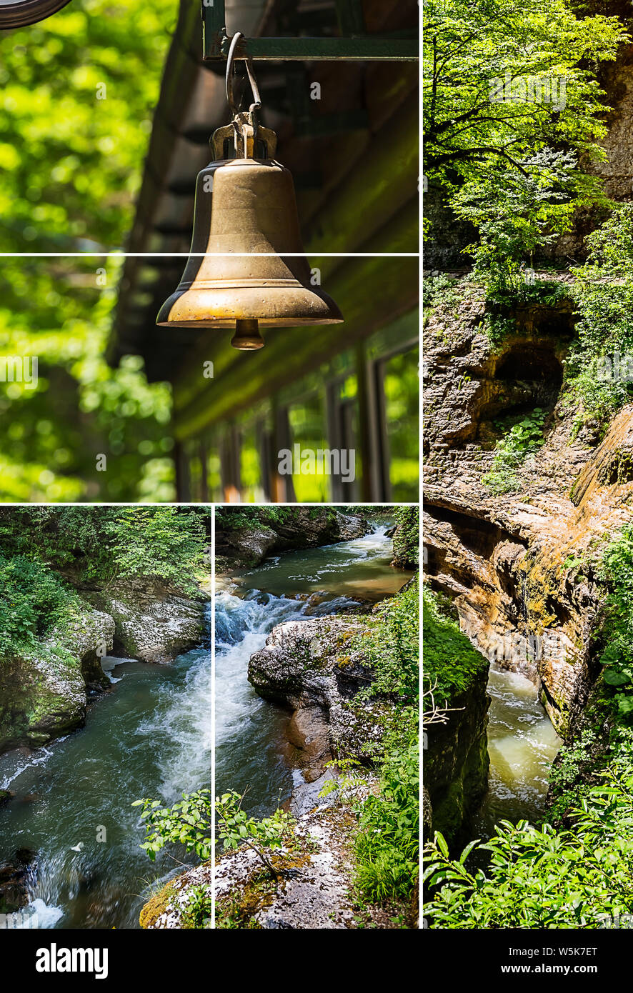 Collage of assorted summer forest landscapes natural backgrounds for ...