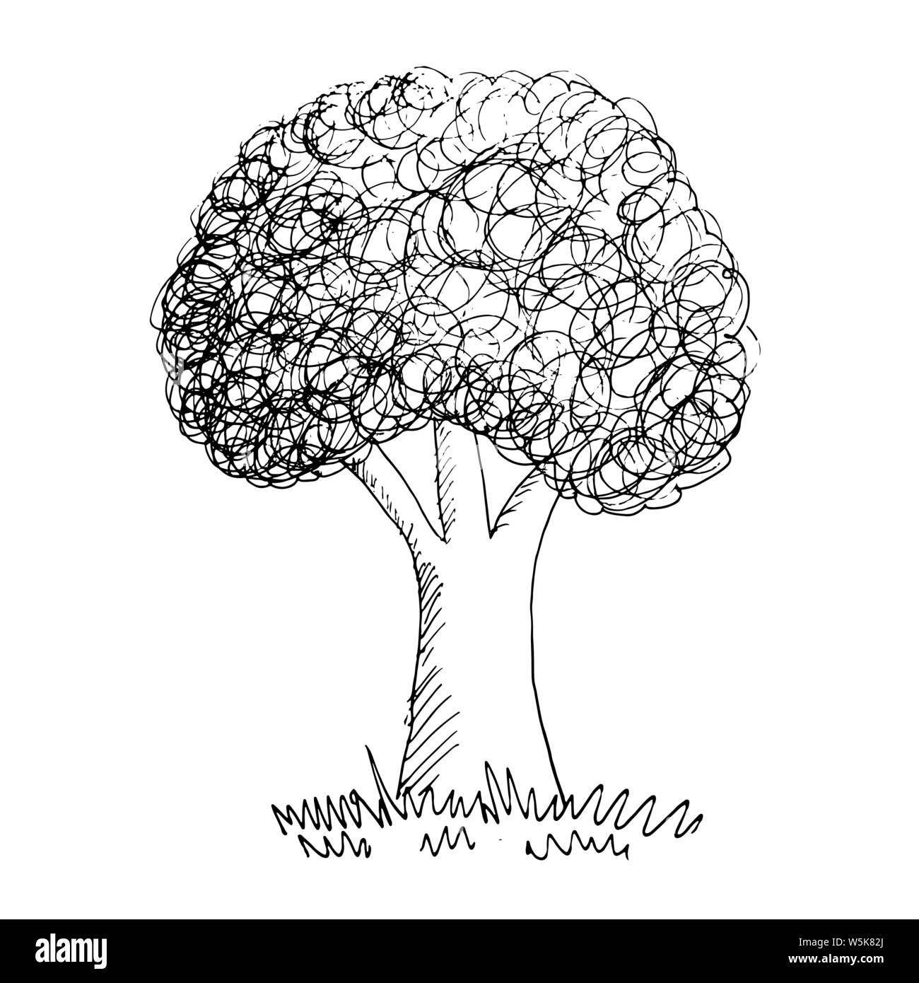 Hand drawn tree Stock Vector Image & Art - Alamy