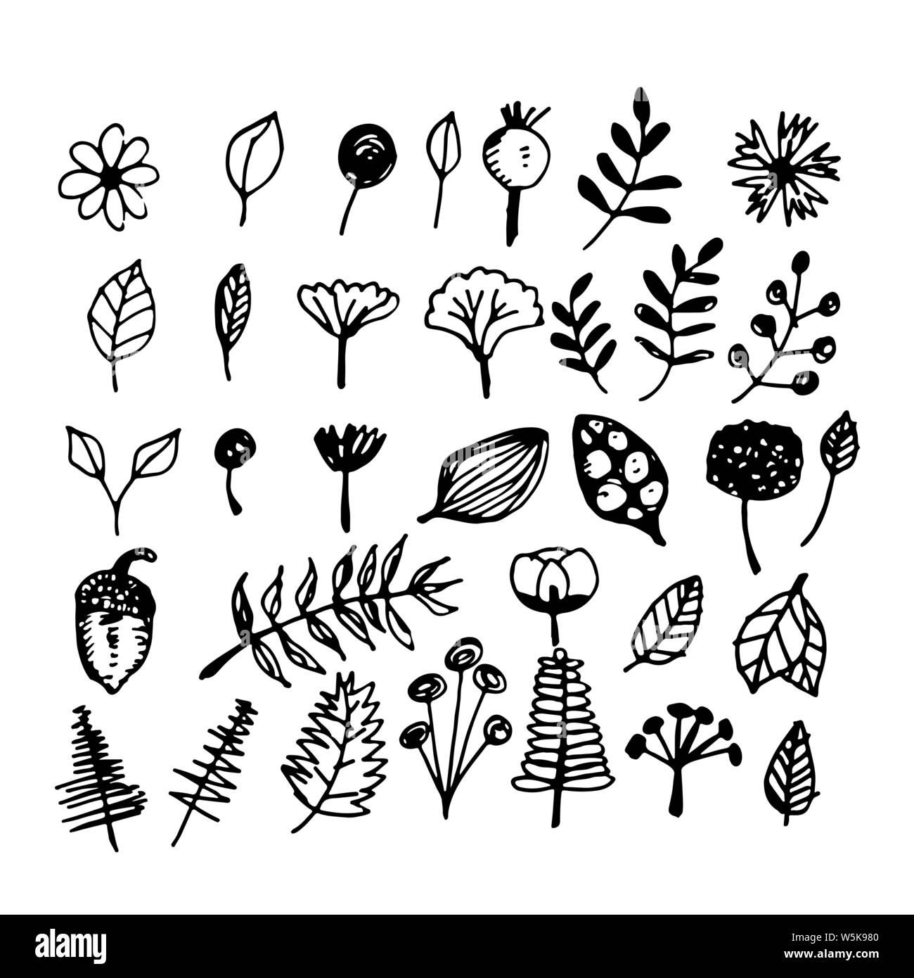 hand drawn plant Stock Vector Image & Art - Alamy
