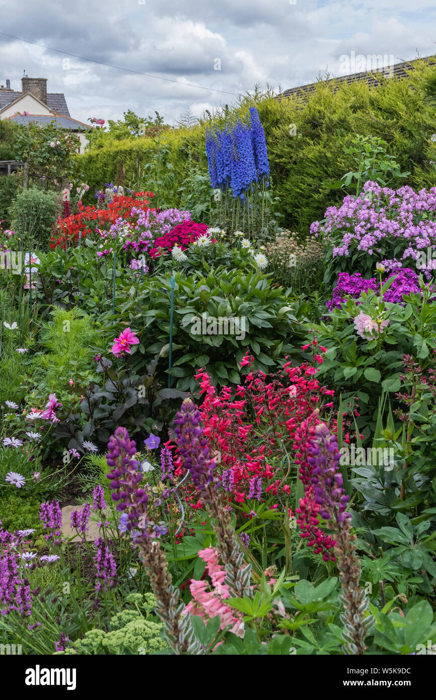 Delphiniums herbaceous border hi-res stock photography and images - Alamy