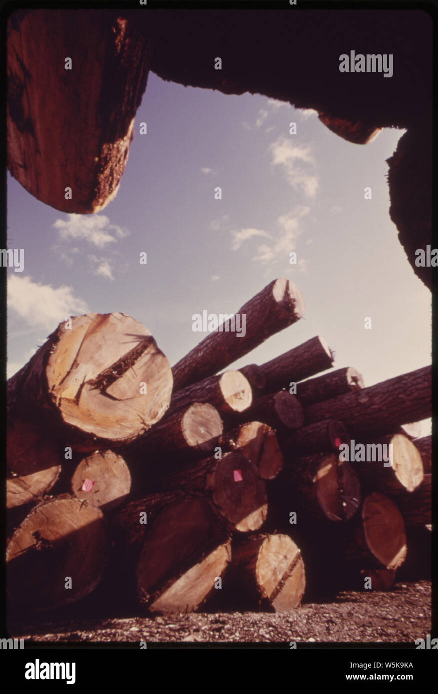 Cold deck log storage hi-res stock photography and images - Alamy