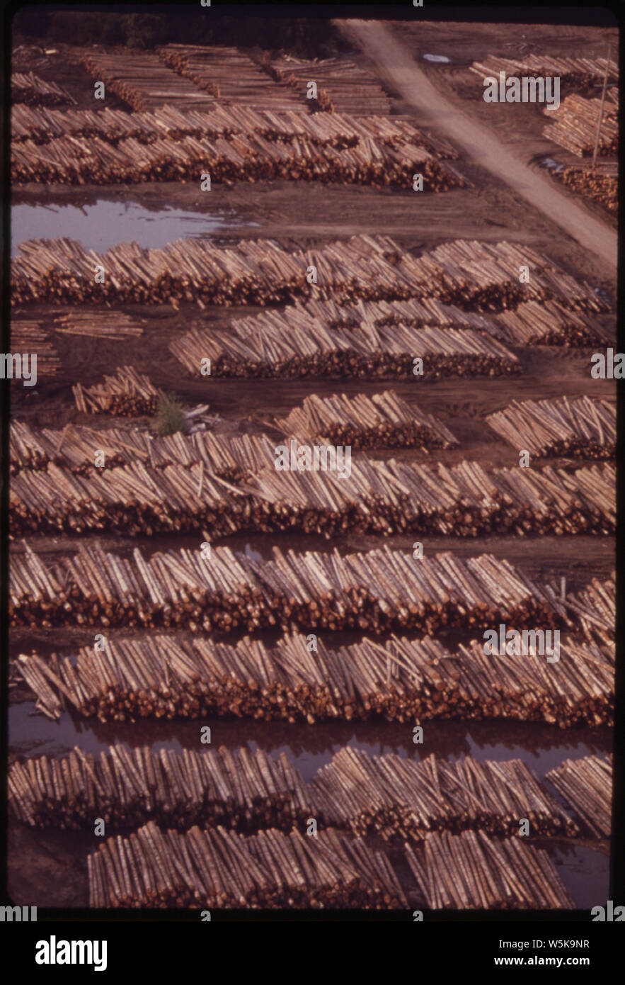 COLD DECK LOG STORAGE NEAR OLYMPIA. THIS METHOD IS PREFERRED OVER WATER ...