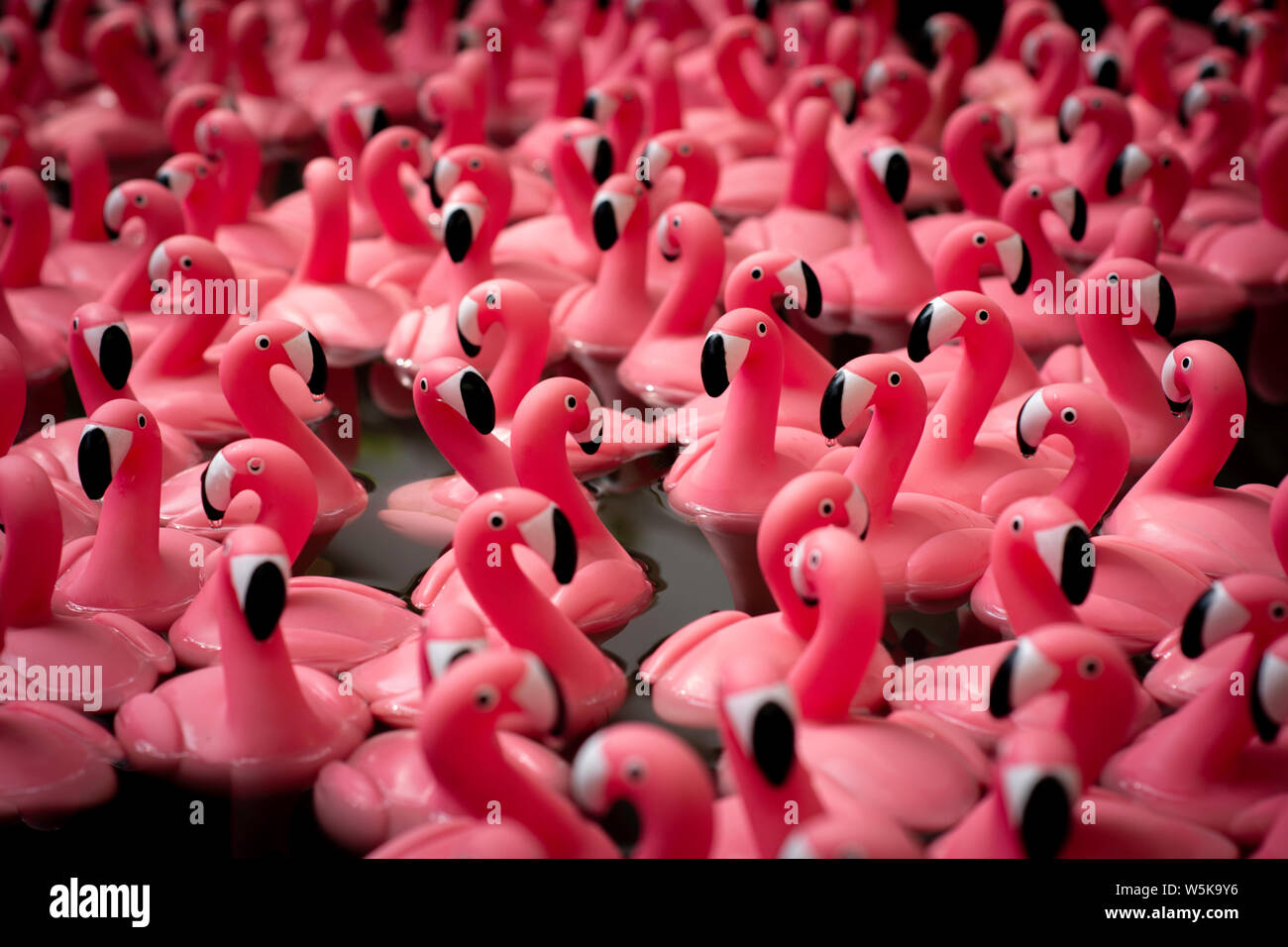 Pink flamingo plastic hi-res stock photography and images - Alamy