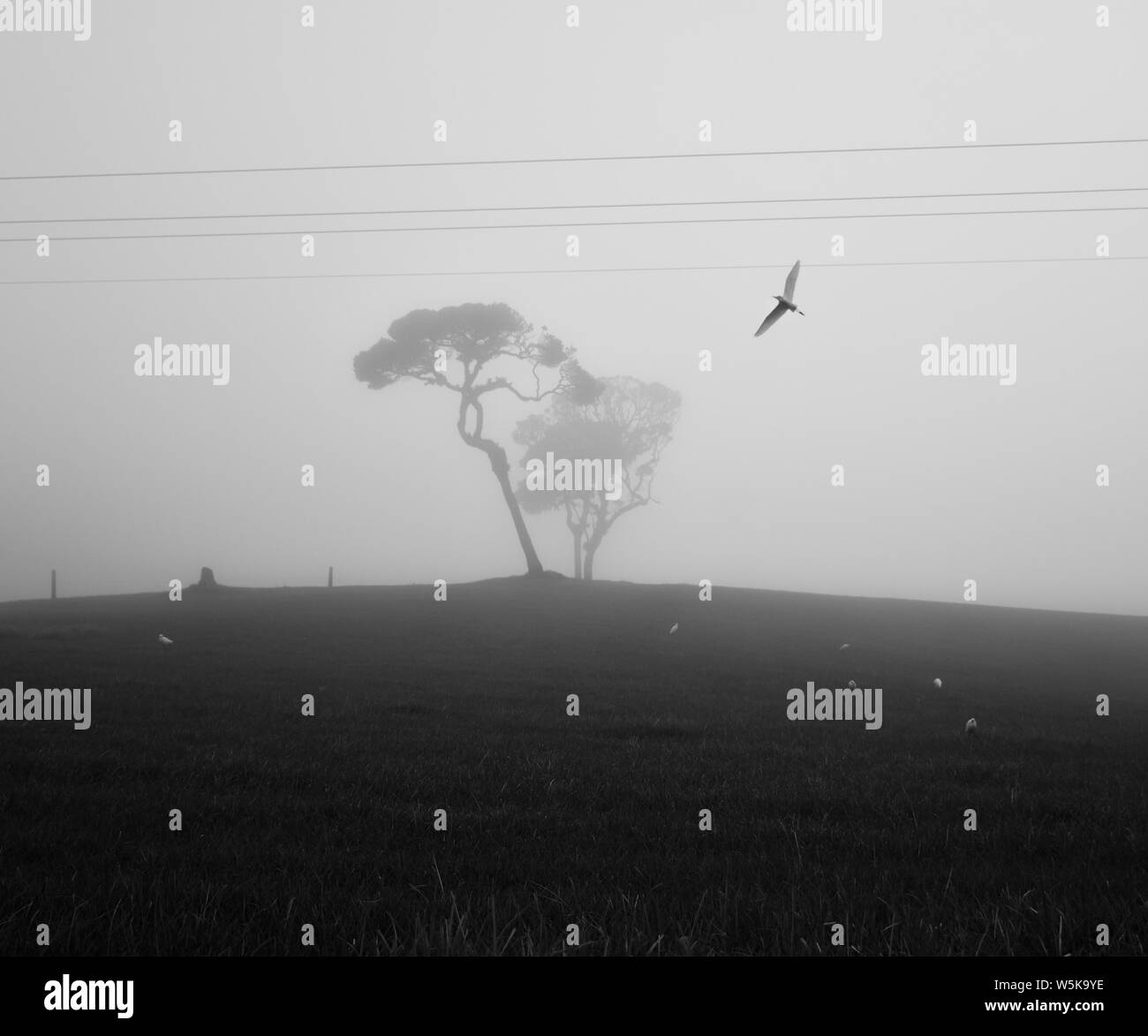 In Sri lanka , evening very carm and gloomy place Stock Photo - Alamy