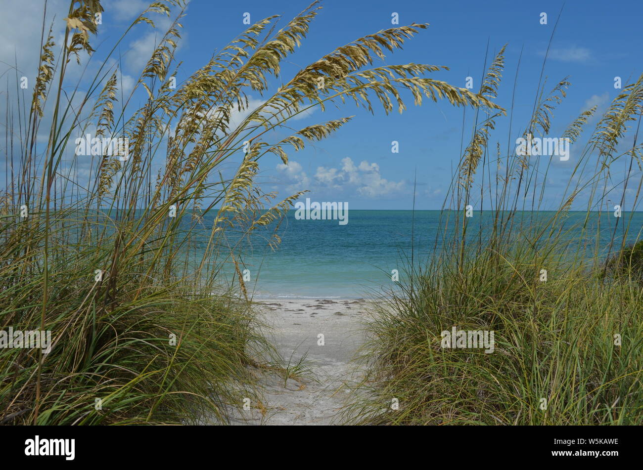 Pathway to paradise hi-res stock photography and images - Alamy