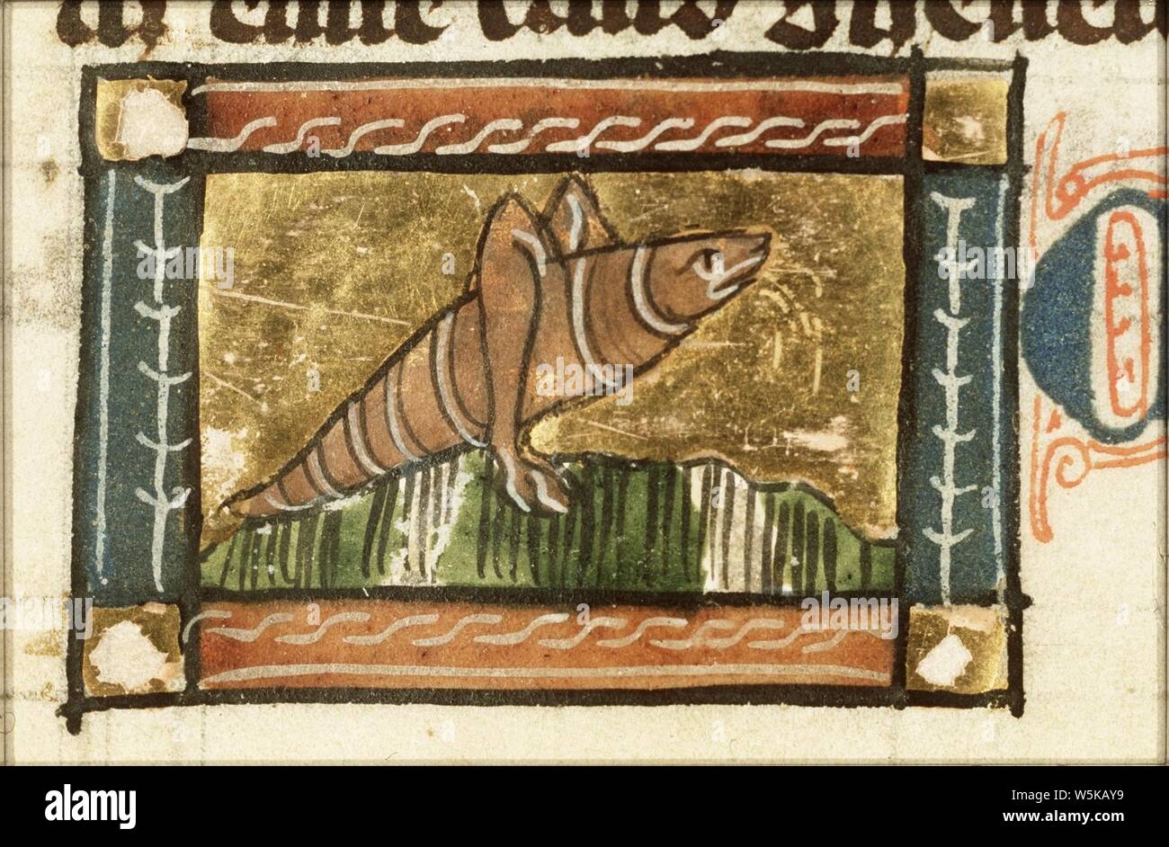 Cycada (cricket) - Der naturen bloeme - Jacob van Maerlant - KB KA 16 ...