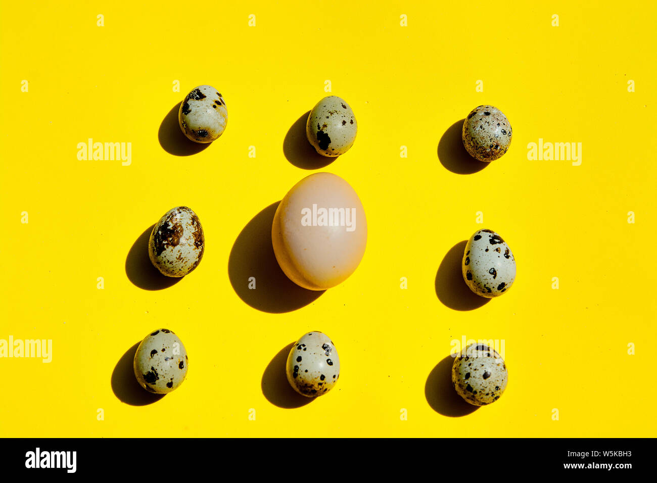 Big And Small Egg High Resolution Stock Photography and Images - Alamy