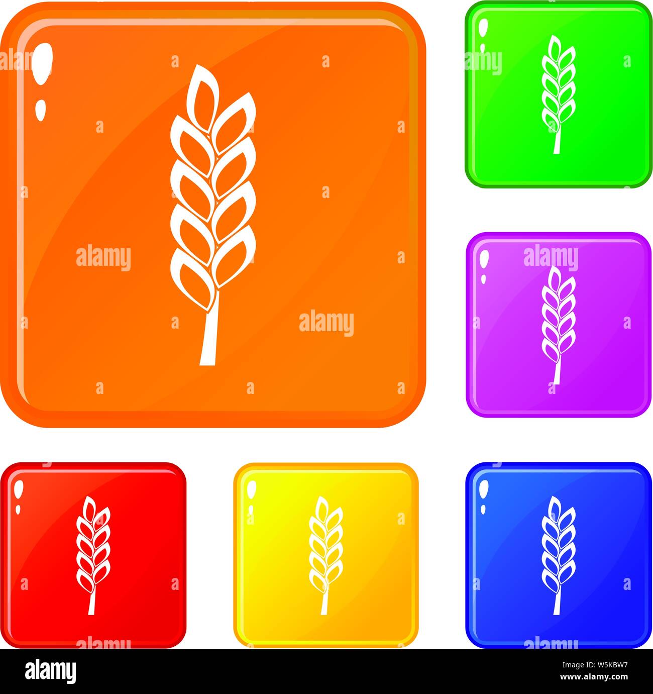 Wheat rye spikelet collection Stock Vector Images - Alamy