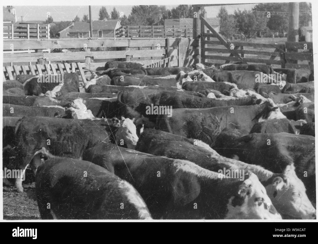 Fort berthold reservation Black and White Stock Photos & Images - Alamy