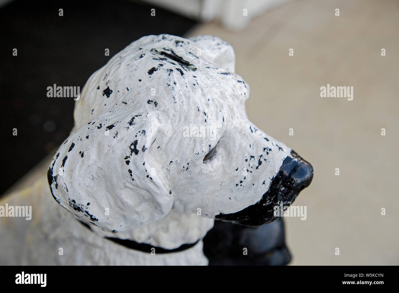 Close up on an animal charity collection box showing the coin slot in a ...