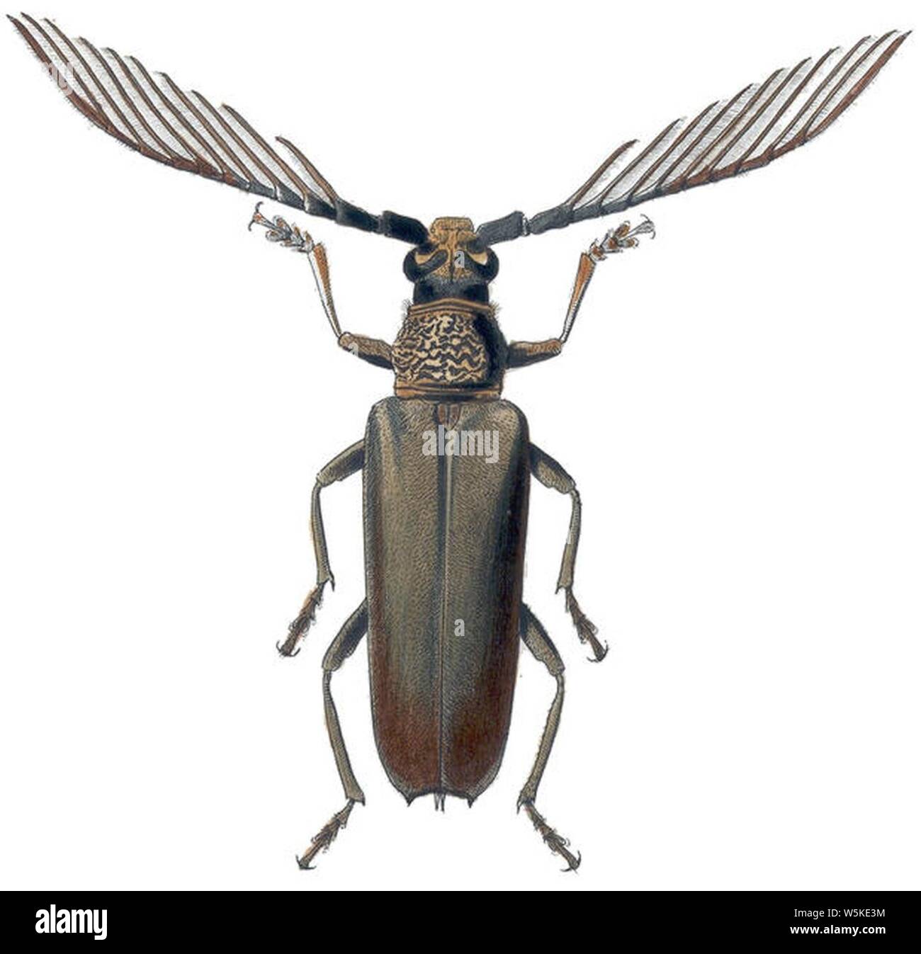 Edited collection Cut Out Stock Images & Pictures - Alamy