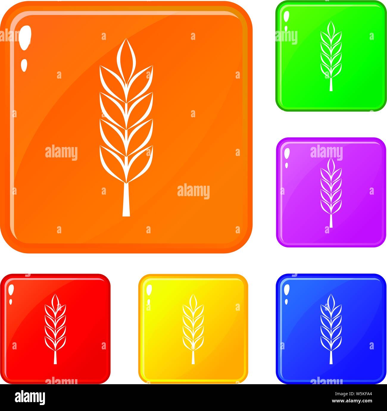 Wheat spike icons set vector color Stock Vector Image & Art - Alamy